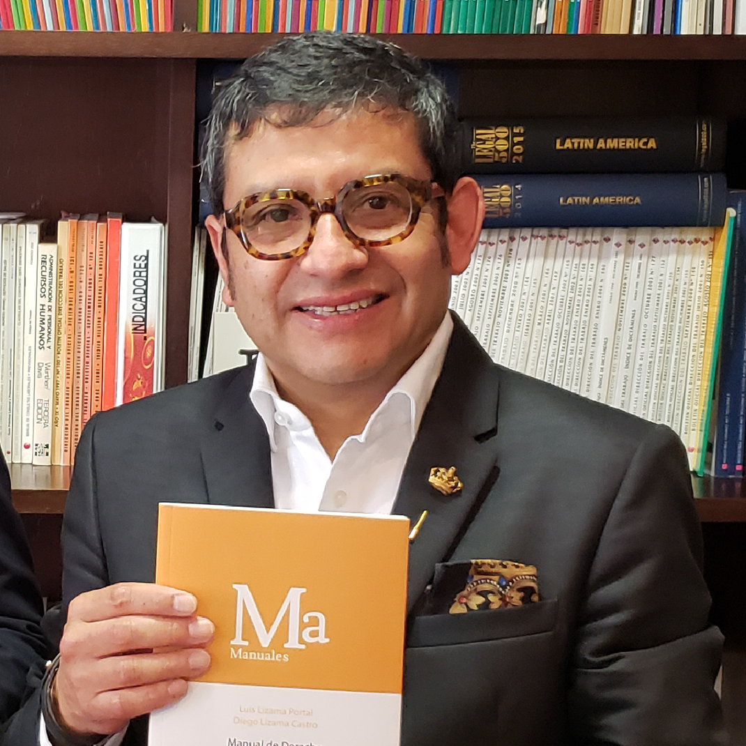 DER Ediciones - Editorial Jurídica - Autor: Luis Lizama Portal